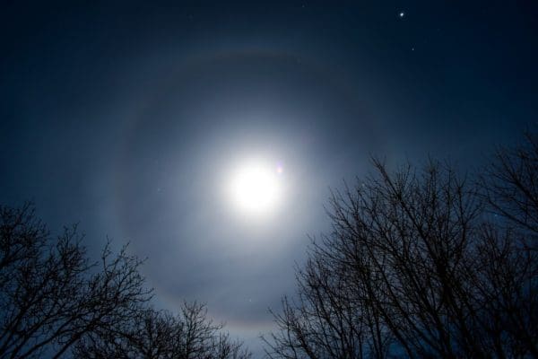Unraveling the Halo Effect in Night Vision